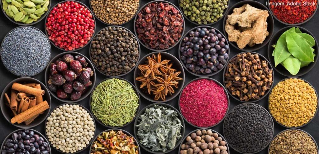 5 temperos especiais que você precisa ter sempre na sua cozinha – Blog ...